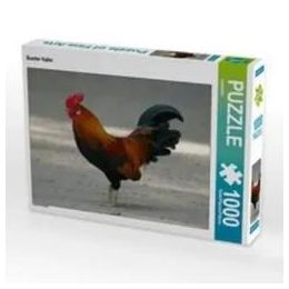 Calvendo Puzzle Bunter Hahn 1000 Teile Lege-Gr&ouml;&szlig;e 64 x 48 cm Foto-Puzzle Bild von kattobello