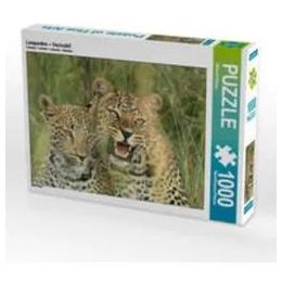 Calvendo Puzzle Leoparden &ndash; Vorsicht! 1000 Teile Lege-Gr&ouml;&szlig;e 64 x 48 cm Foto-Puzzle Bild von Michael Herzog