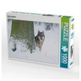 Calvendo Puzzle Wolf im Winter 1000 Teile Lege-Gr&ouml;&szlig;e 64 x 48 cm Foto-Puzzle Bild von Wilfried Martin