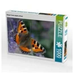 Calvendo Puzzle Kleiner Fuchs (Aglais urticae) 1000 Teile Lege-Gr&ouml;&szlig;e 64 x 48 cm Foto-Puzzle Bild von kattobello