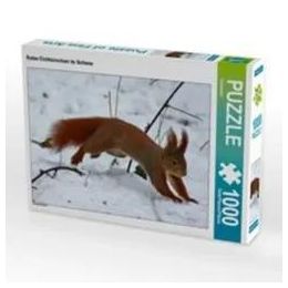 Calvendo Puzzle Rotes Eichh&ouml;rnchen im Schnee 1000 Teile Lege-Gr&ouml;&szlig;e 64 x 48 cm Foto-Puzzle Bild von Kattobello