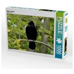 Calvendo Rabe im Baum (Puzzle)