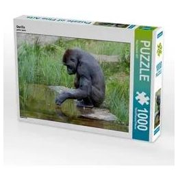Calvendo Gorilla (Puzzle)