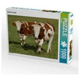 Calvendo Puzzle Rinder Freunde 1000 Teile Lege-Gr&ouml;&szlig;e 64 x 48 cm Foto-Puzzle Bild von kattobello