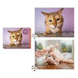 Cats on Catnip 2-In-1 Double-Sided 1,000-Piece Puzzle