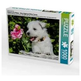 Calvendo Ein Motiv aus dem Kalender Kobold auf 4 Pfoten - West Highland White Terrier (Puzzle)