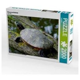 Calvendo Wasserschildkr&ouml;te (Puzzle)