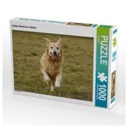 Calvendo Puzzle Golden Retriever in Aktion 1000 Teile Lege-Gr&ouml;&szlig;e 64 x 48 cm Foto-Puzzle Bild von Kattobello