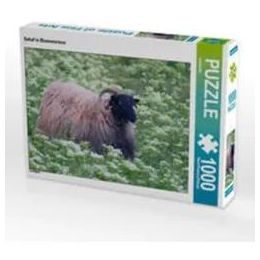 Calvendo Puzzle Schaf in Blumenwiese 1000 Teile Lege-Gr&ouml;&szlig;e 64 x 48 cm Foto-Puzzle Bild von kattobello