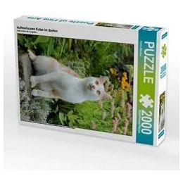 Calvendo Aufmerksame Katze im Garten (Puzzle)