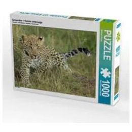 Calvendo Puzzle Leoparden &ndash; Kleiner unterwegs 1000 Teile Lege-Gr&ouml;&szlig;e 64 x 48 cm Foto-Puzzle Bild von Michael Herzog