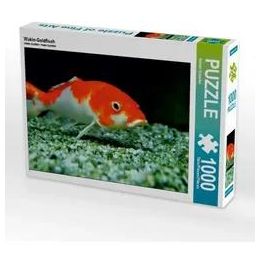 Calvendo Wakin-Goldfisch (Puzzle)