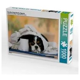Calvendo Cavalier King Charles Spaniel (Puzzle)