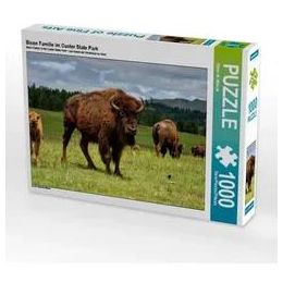 Calvendo Bison Familie im Custer State Park (Puzzle)