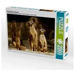 Calvendo In die Sonne schauen (Puzzle)