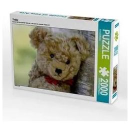 Calvendo Teddy (Puzzle)