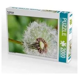 Calvendo Pusteblume (Puzzle)