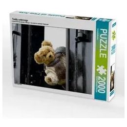 Calvendo Teddy unterwegs (Puzzle)
