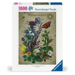 Ravensburger Erwachsenenpuzzle 1000 Teile - Lebenskreis eines Schmetterlings