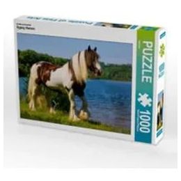 Calvendo Puzzle Gypsy Horses 1000 Teile Lege-Gr&ouml;&szlig;e 64 x 48 cm Foto-Puzzle Bild von weh-zet