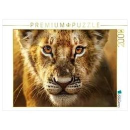 Calvendo Puzzle Ein Motiv aus dem Kalender "Wenn die wilden Katzen leise durch ihr Revier streifen" 2000 Teile Lege-Gr&ouml;&szlig;e 90x67cm Foto-Puzzle f&uuml;r gl