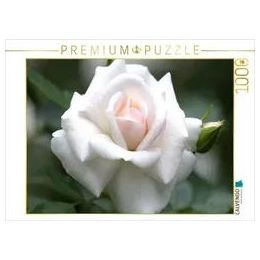 Calvendo Puzzle Rose 'Gru&szlig; an Aachen' 1000 Teile Lege-Gr&ouml;&szlig;e 64x48cm Foto-Puzzle f&uuml;r gl&uuml;ckliche Stunden