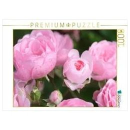 Calvendo Puzzle Rose 'The Fairy' 1000 Teile Lege-Gr&ouml;&szlig;e 64x48cm Foto-Puzzle f&uuml;r gl&uuml;ckliche Stunden
