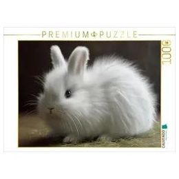 Calvendo Puzzle Ein Motiv aus dem Kalender Zauberhafte Fluffies 1000 Teile Lege-Gr&ouml;&szlig;e 64x48cm Foto-Puzzle f&uuml;r gl&uuml;ckliche Stunden