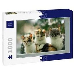 Lais Puzzle Katzen vor Fenster 1000 Teile
