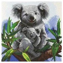 Crystal Art Leinwandbild Koalas 30x30 cm