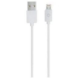 RealPower USB-Kabel USB 2.0 USB-A Stecker, Apple Lightning Stecker 1.00m Wei&szlig; 255649