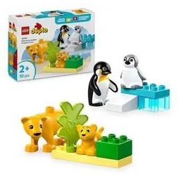 Lego DUPLO 10442 Wildtier-Familien: Pinguine und L&ouml;wen, Lernspielzeug