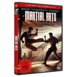Great Movies Martial Arts - Die grosse Kampfsport-Spielfilm Box [3 DVDs]