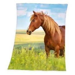 Herding Young Collection 7524206035 - Pferd Fleece-Decke, 130x160 cm, 100% Polyester