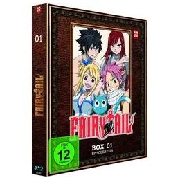 Fairy Tail - TV-Serie - Box 1 (Episoden 1-24) [3 BRs]