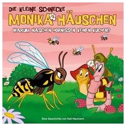 KARUSSELL 43: Warum naschen Hornissen keinen Kuchen?