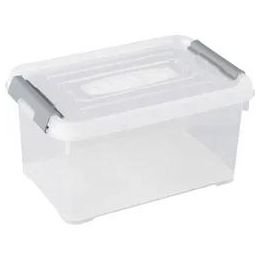 curver 243803 Aufbewahrungsbox HANDY stapelbar (L x B x H) 294 x 194 x 150 mm Transparent, Silber 1 St.