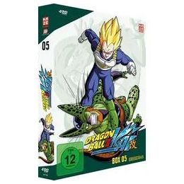 Dragonball Z Kai - Box 5 [4 DVDs]