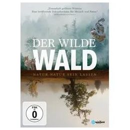 Der Wilde Wald - Natur Natur sein lassen