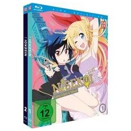 Nisekoi - 2. Staffel - Gesamtausgabe - Blu-ray Box (ohne Schuber) [2 BRs]