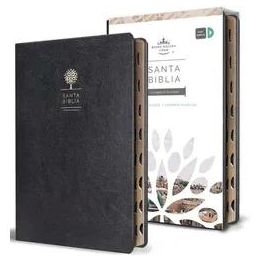 Biblia Reina Valera 1960 letra grande