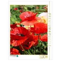 Calvendo Puzzle Roter Mohn im Garten 1000 Teile Lege-Gr&ouml;&szlig;e 64x48cm Foto-Puzzle f&uuml;r gl&uuml;ckliche Stunden