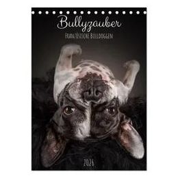 Bullyzauber - Franz&ouml;sische Bulldoggen (Tischkalender 2026 DIN A5 hoch), Calvendo Monatskalender