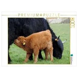 Calvendo Puzzle Das hungrige Jungtier sch&auml;tzt nicht nur den Schutz durch die Mutter, sondern auch ihre Milch. 1000 Teile Lege-Gr&ouml;&szlig;e 64x48cm Foto-Puz