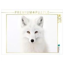 Calvendo Puzzle Ein Motiv aus dem Kalender "Only white animals" 1000 Teile Lege-Gr&ouml;&szlig;e 64x48cm Foto-Puzzle f&uuml;r gl&uuml;ckliche Stunden