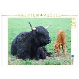 Calvendo Puzzle Dass eine Mutter mit schwarzem Fell ein braunes Kalb hat, ist keineswegs ungew&ouml;hnlich. 1000 Teile Lege-Gr&ouml;&szlig;e 64x48cm Foto-Puzzle f&uuml;r