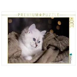 Calvendo Puzzle Sunny - Blue Tabby 1000 Teile Lege-Gr&ouml;&szlig;e 64x48cm Foto-Puzzle f&uuml;r gl&uuml;ckliche Stunden