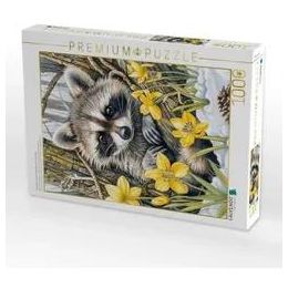 Calvendo Puzzle Waschb&auml;r zwischen den B&auml;umen im Fr&uuml;hling. 1000 Teile Lege-Gr&ouml;&szlig;e 64x48cm Foto-Puzzle f&uuml;r gl&uuml;ckliche Stunden
