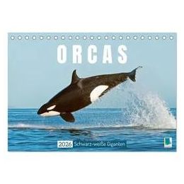 Orcas: Schwarz-wei&szlig;e Giganten (Tischkalender 2026 DIN A5 quer), Calvendo Monatskalender