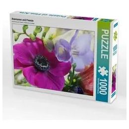 Calvendo Puzzle Anemonen und Freesie 1000 Teile Lege-Gr&ouml;&szlig;e 64x48cm Foto-Puzzle f&uuml;r gl&uuml;ckliche Stunden